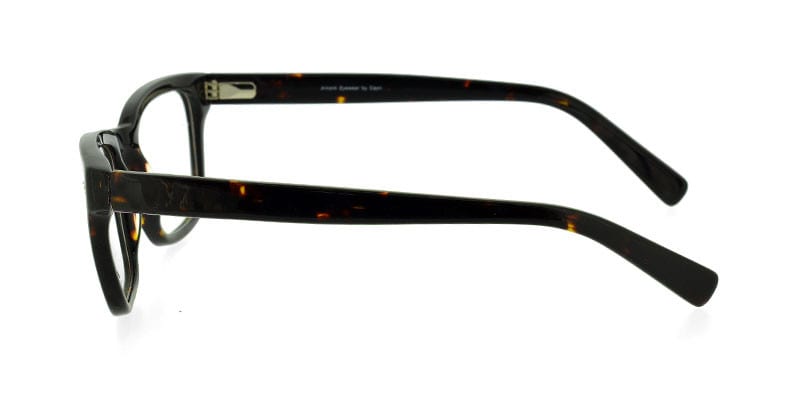 Carter Tortoise Prescription eyeglasses