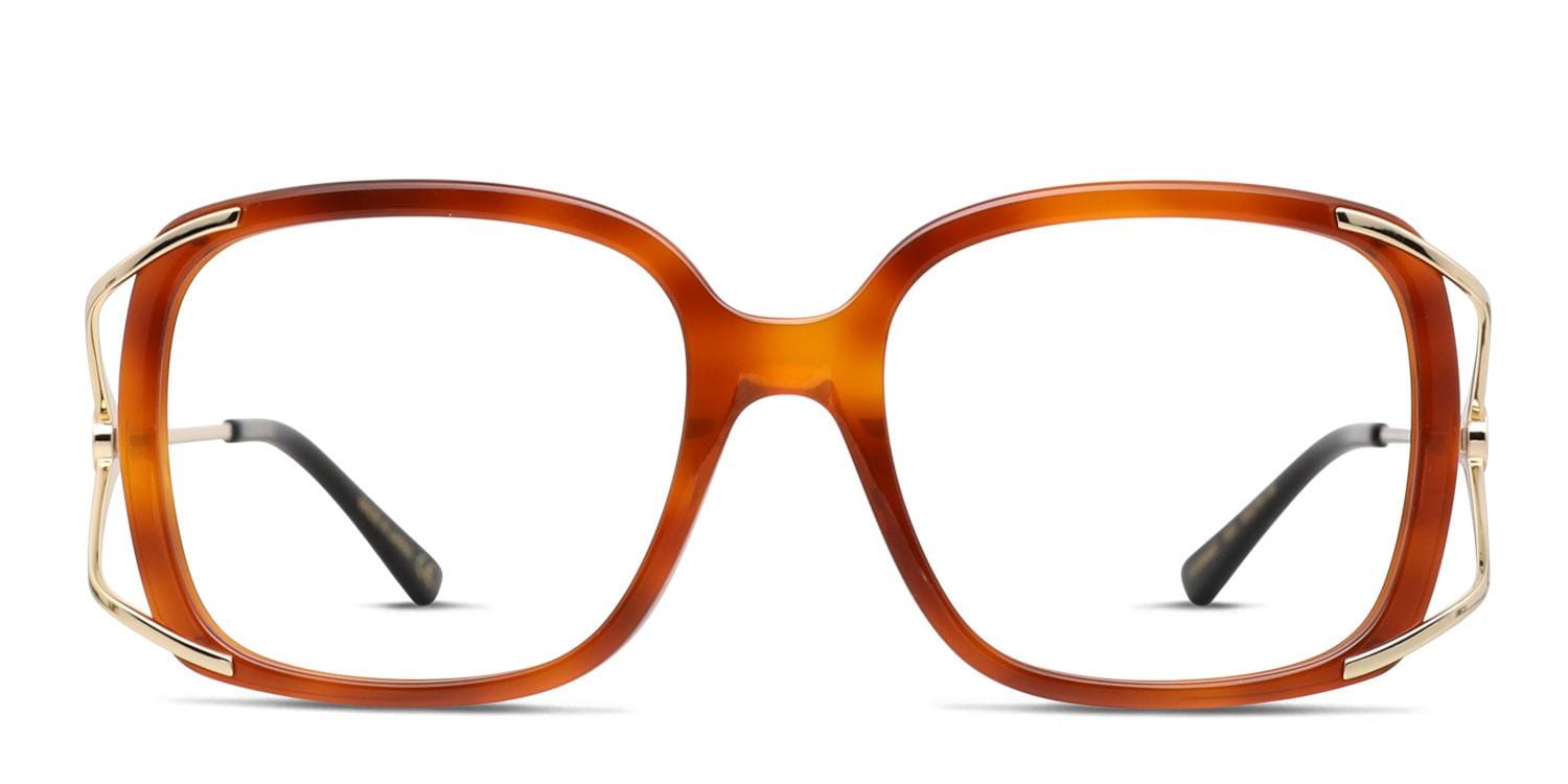 Gucci GG0648O Tortoise/Gold Eyeglasses | Includes Free Rx Lenses ...