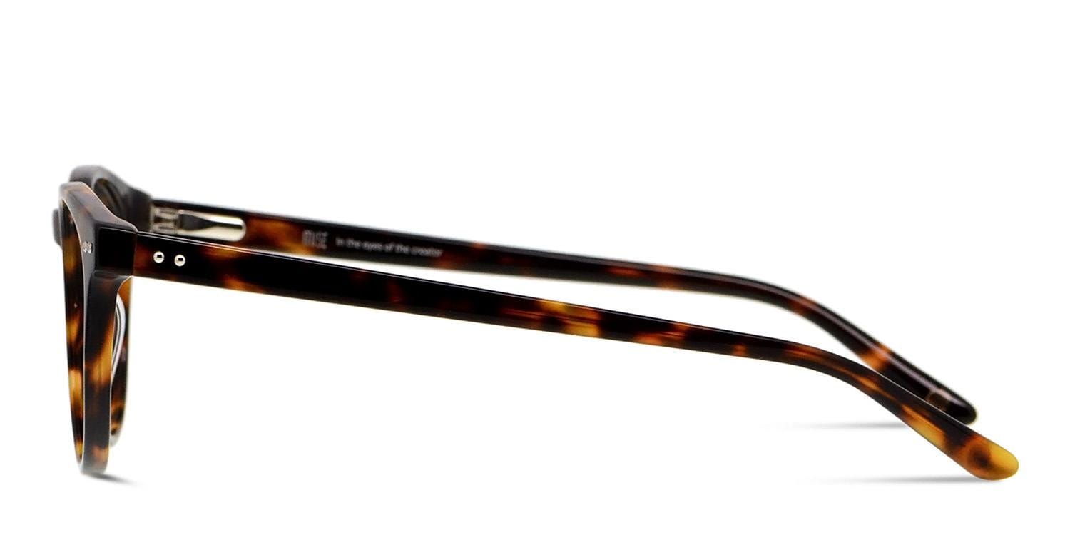Muse Galyo Brown/Tortoise w/Clip-on Prescription Eyeglasses