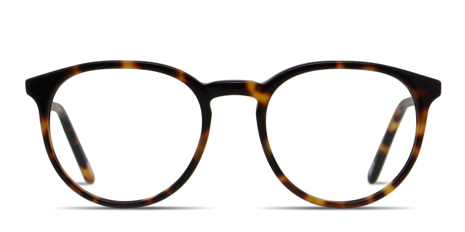 Ottoto Piero Brown/Tortoise Eyeglasses | Includes Free Rx Lenses ...