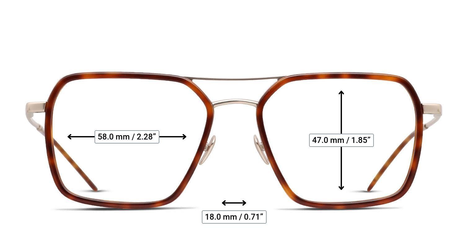Ottoto Presto Tortoise/Gold Eyeglasses | Includes Free Rx Lenses ...