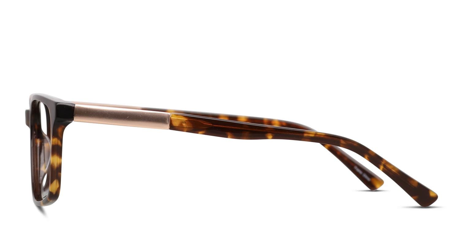 Ayo Tortoise Prescription eyeglasses
