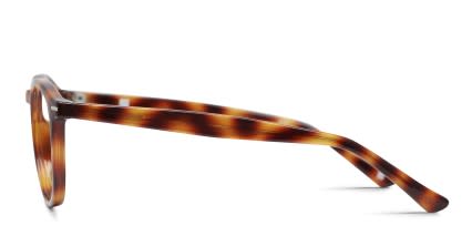 Muse Zenith Tortoise Prescription Eyeglasses