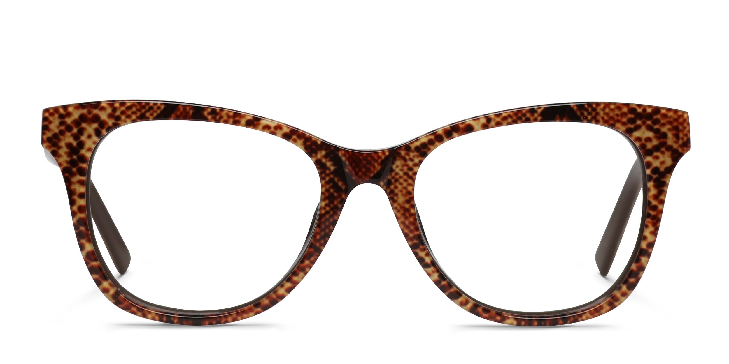 Diff Carina Tortoise, Brown Prescription Eyeglasses