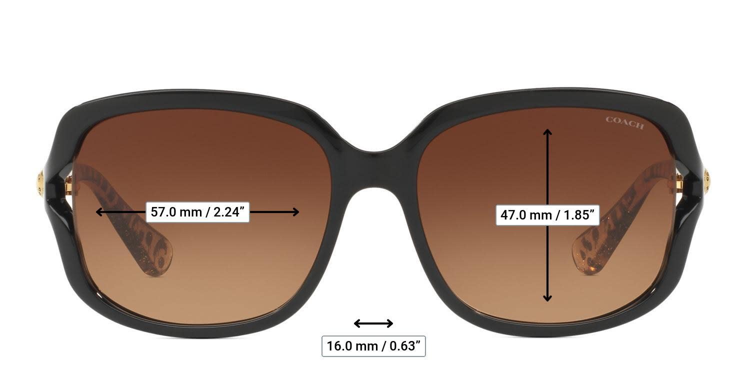 Coach HC8169 Black/Brown/Tortoise Prescription Sunglasses