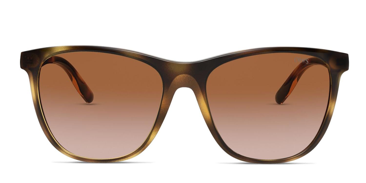 Chaps CP5004 Brown, Tortoise Prescription Sunglasses - 50% Off Lenses