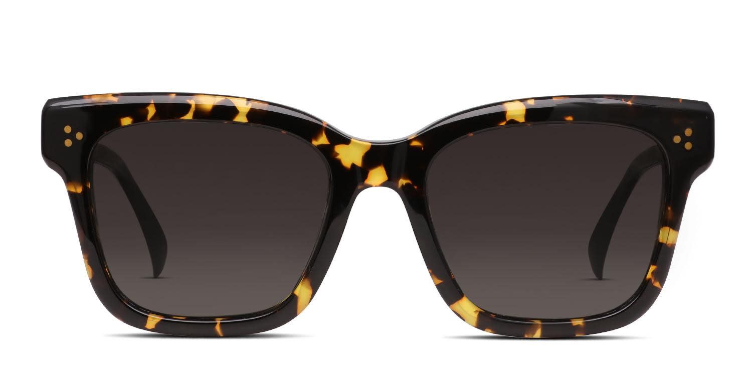 RAEN Breya Tortoise Prescription Sunglasses