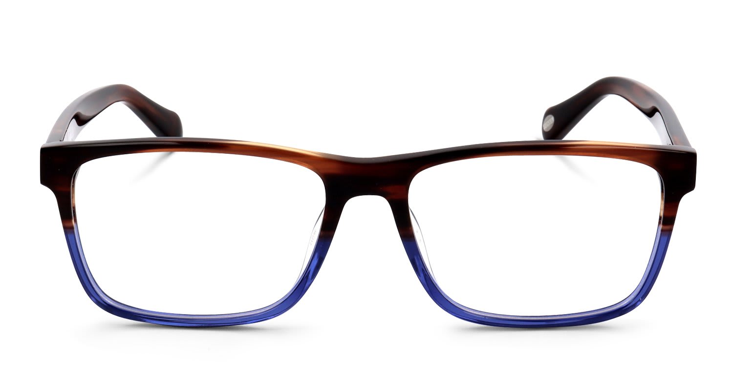 Fossil FOS7084/G brown , blue frames