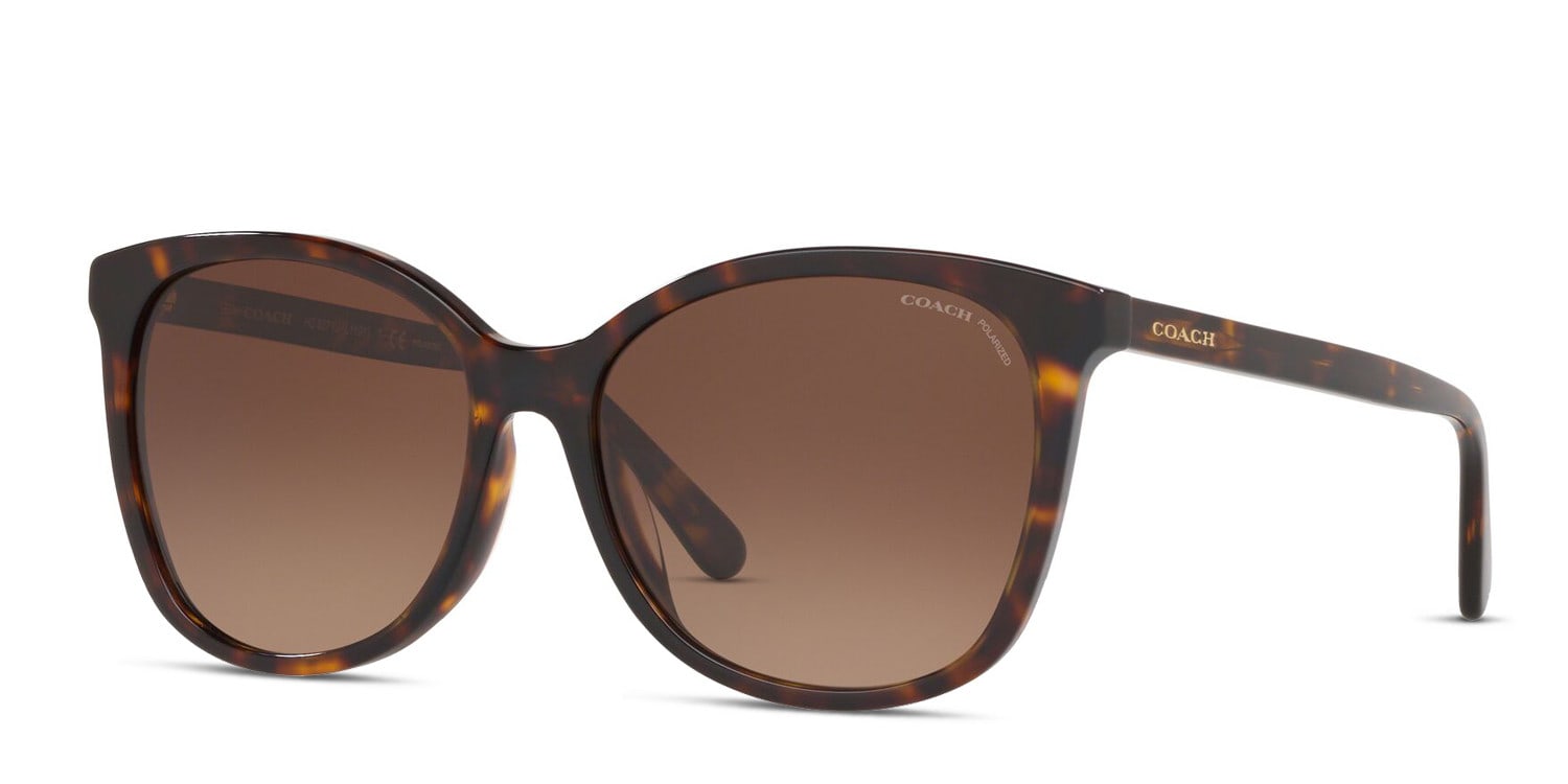 Coach HC8271U Brown , Tortoise