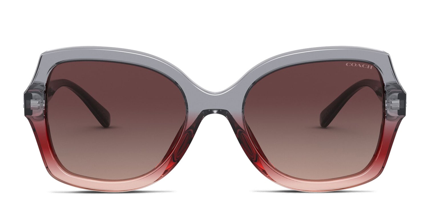 Coach HC8295 gray , red frame with burgundy grey gradient lenses