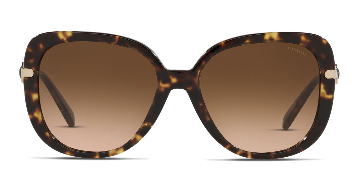 Coach HC8320 tortoise frame with dark brown gradient lenses. Lenses ...