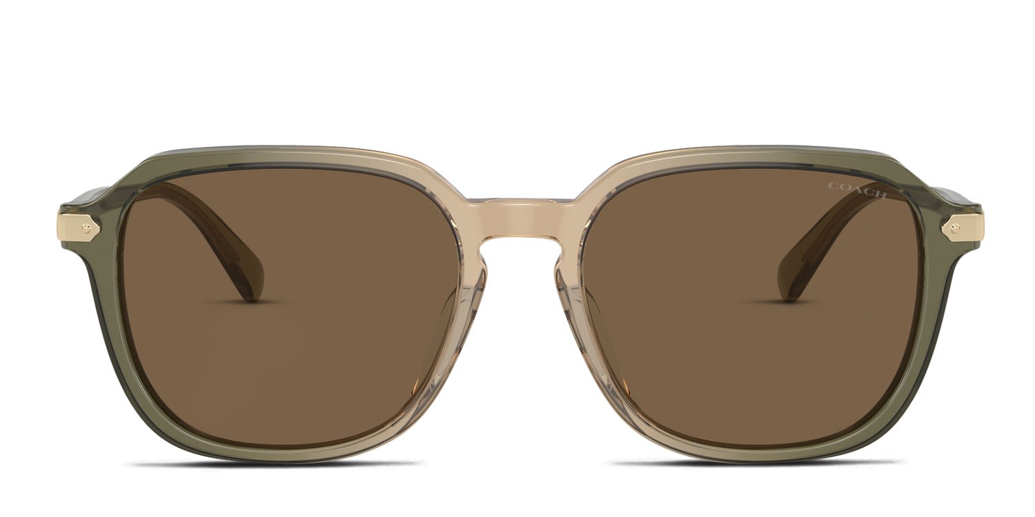 Coach HC8383U clear , green , beige frame with brown solid lenses ...