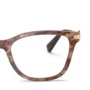 Coach HC6176 tortoise frame