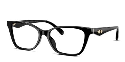 Coach HC6248U black frame