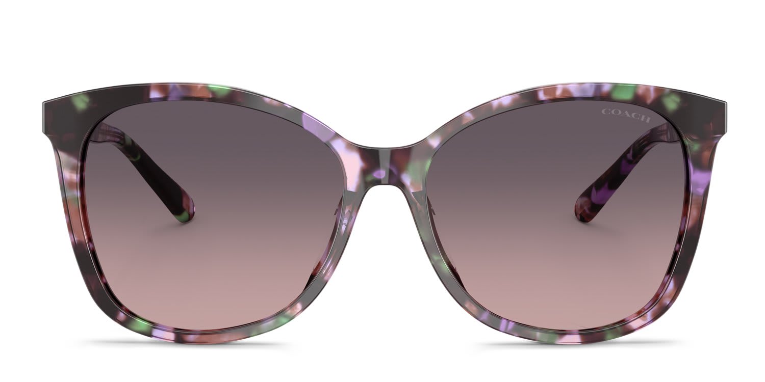 Coach HC8271U Tortoise, Purple, Green Prescription Sunglasses