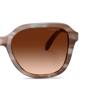 Coach HC8437U tortoise , brown frame with brown gradient lenses. Lenses ...