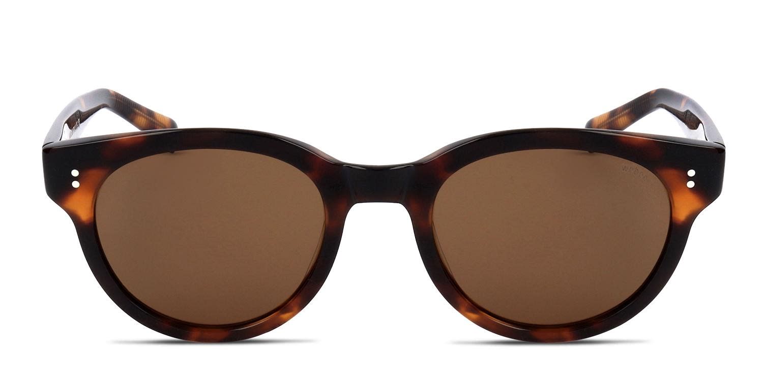 Webee Chestnut Tortoise Sunglasses Online