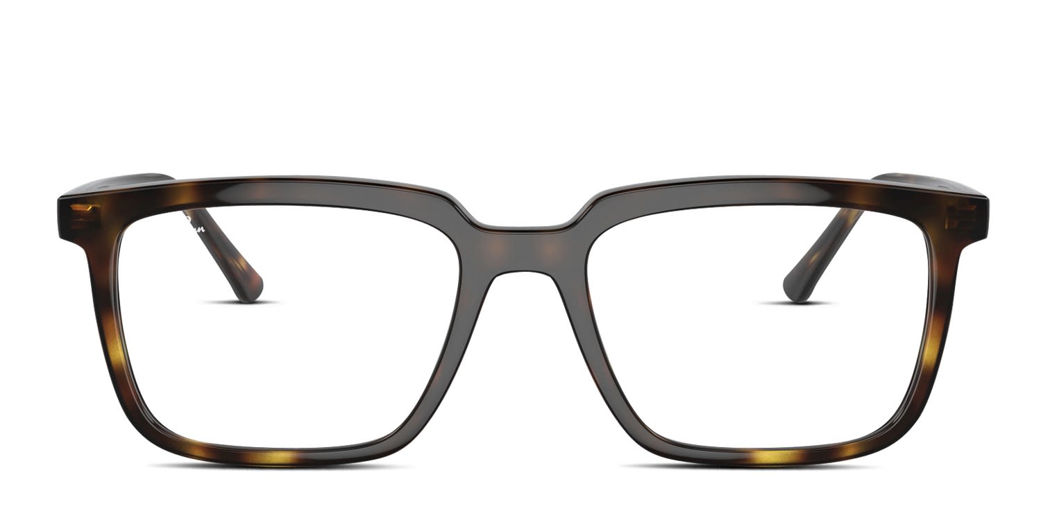 Ray-Ban RX7239 Alain tortoise frame