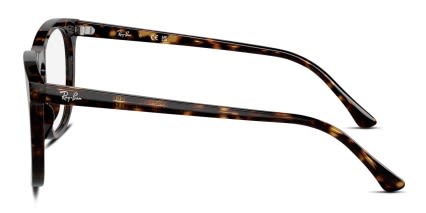 Ray-Ban RX2210V tortoise frame