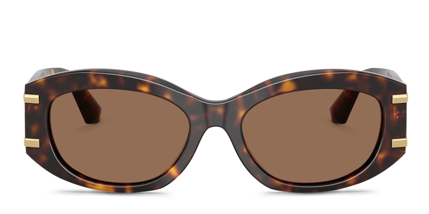 Dolce & Gabbana DG4502 tortoise frame with dark brown lenses. Lenses ...
