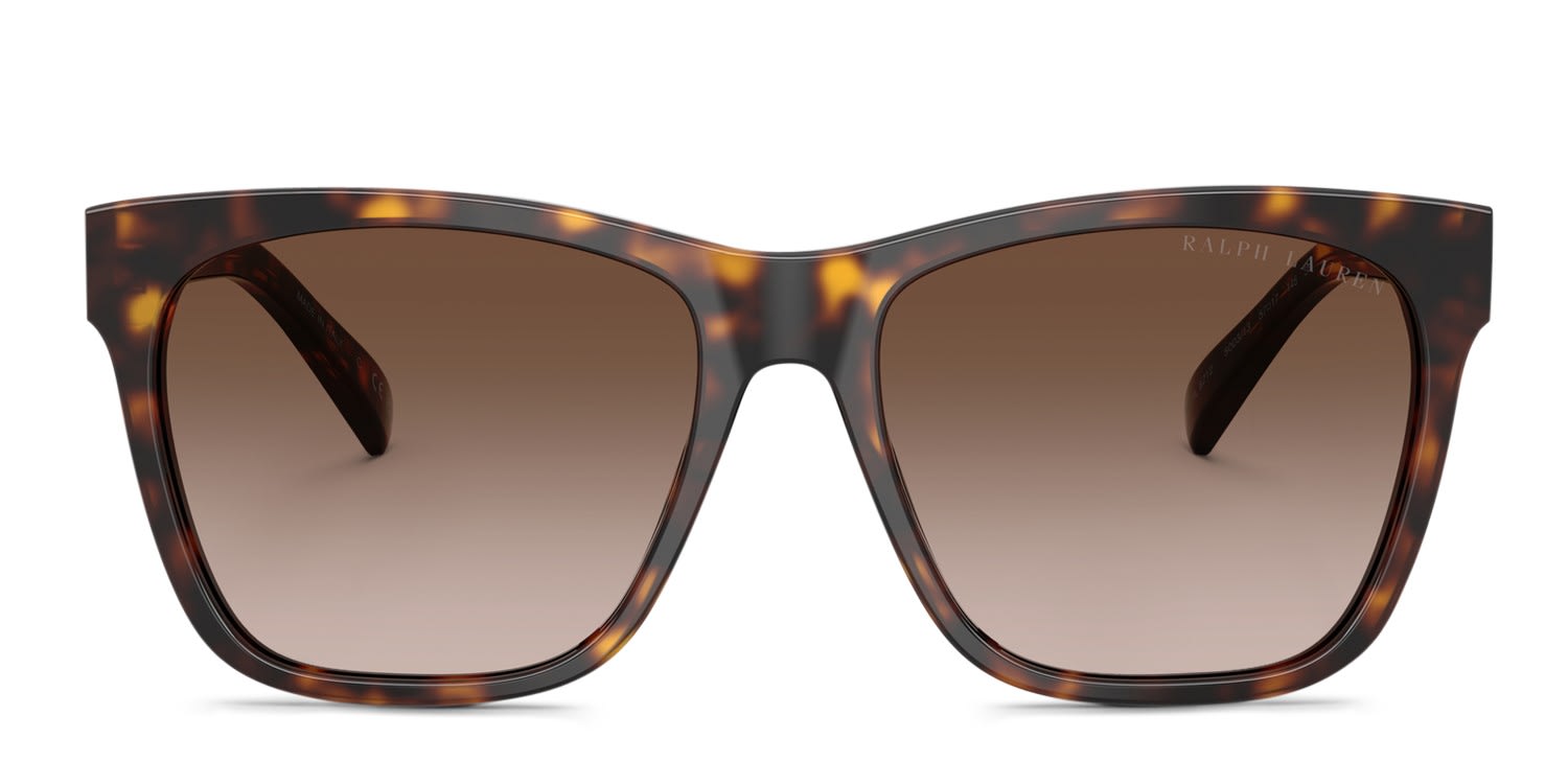 Ralph Lauren RL8212 The Ricky Ii tortoise frame with gradient brown ...