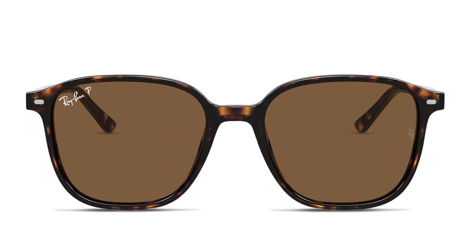 Ray-Ban RB2193 Leonard Brown, Tortoise frame with brown lenses. Lenses ...