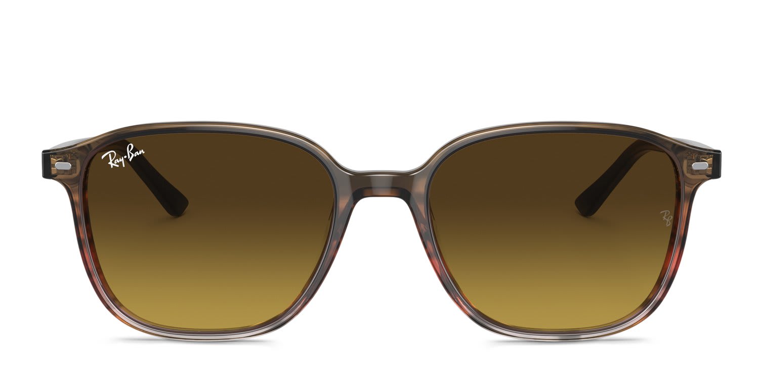 Ray-Ban RB2193 Leonard multicolor , brown frame with gradient brown ...
