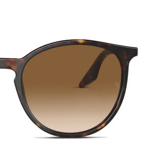 Ray-Ban RB2204 tortoise frame with clear gradient brown lenses. Lenses ...