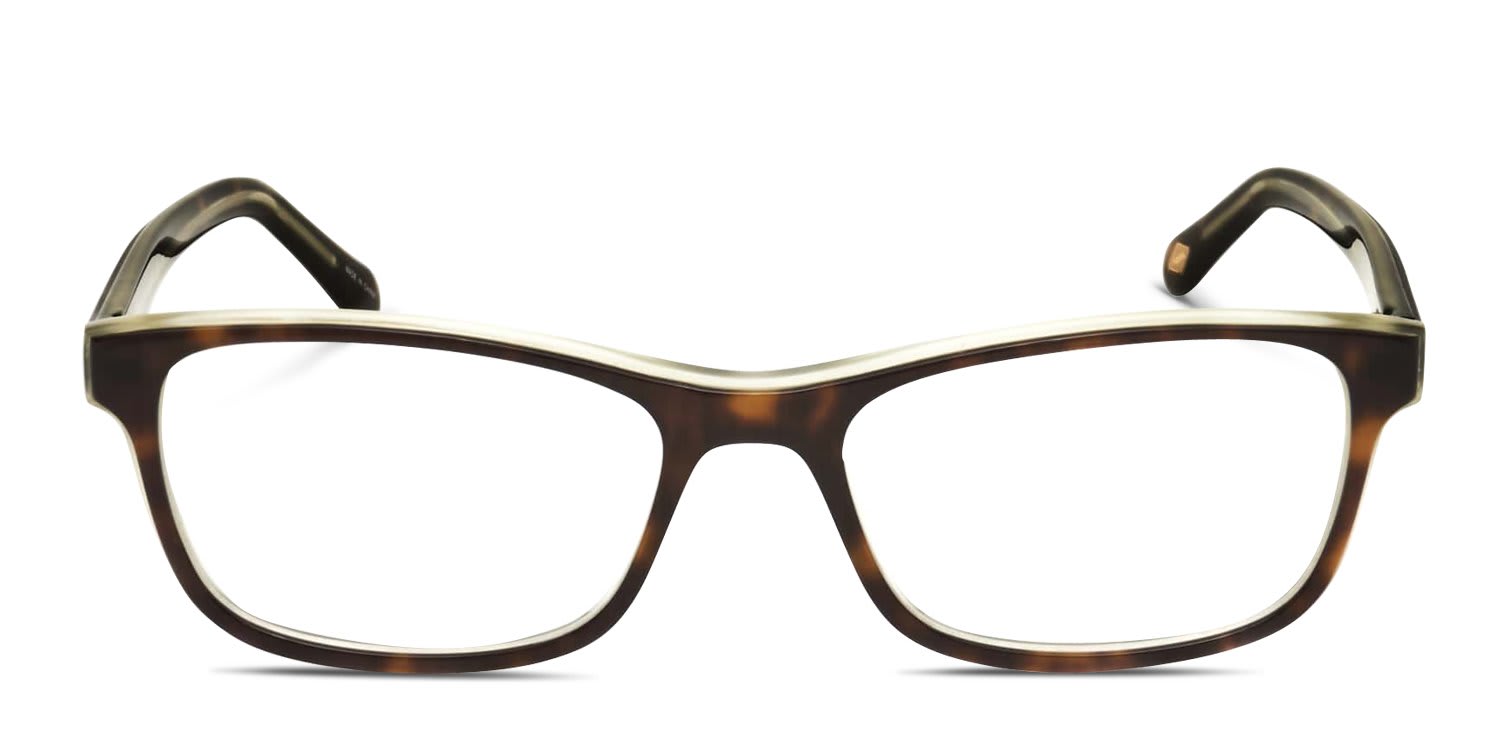 Fossil FOS7132 tortoise frames