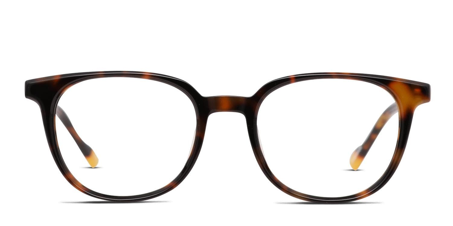 brown frame specs